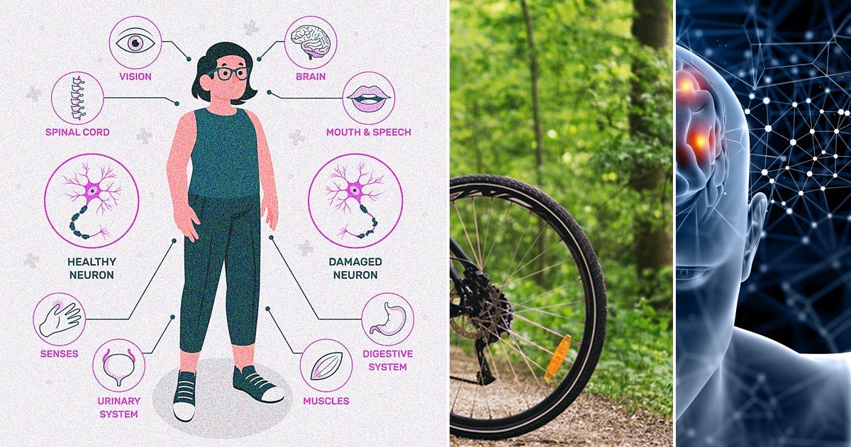 List: Rewiring Brain | Curated by Robin Pettit | Medium