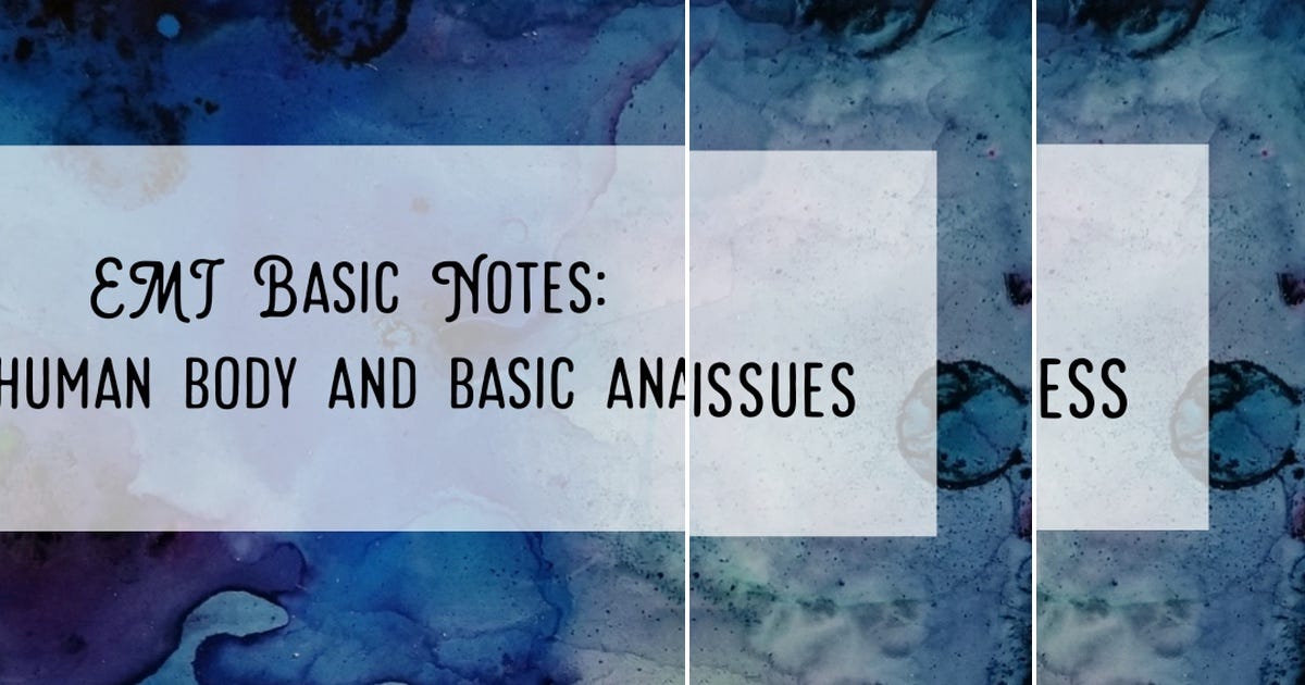 List: EMT-Basic Preparatory | Curated by Stephanie Wayfarer | Medium