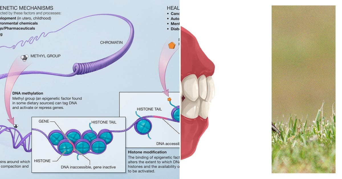 List: Facts & Info | Curated by Cherifa Bochra Soltani | Medium