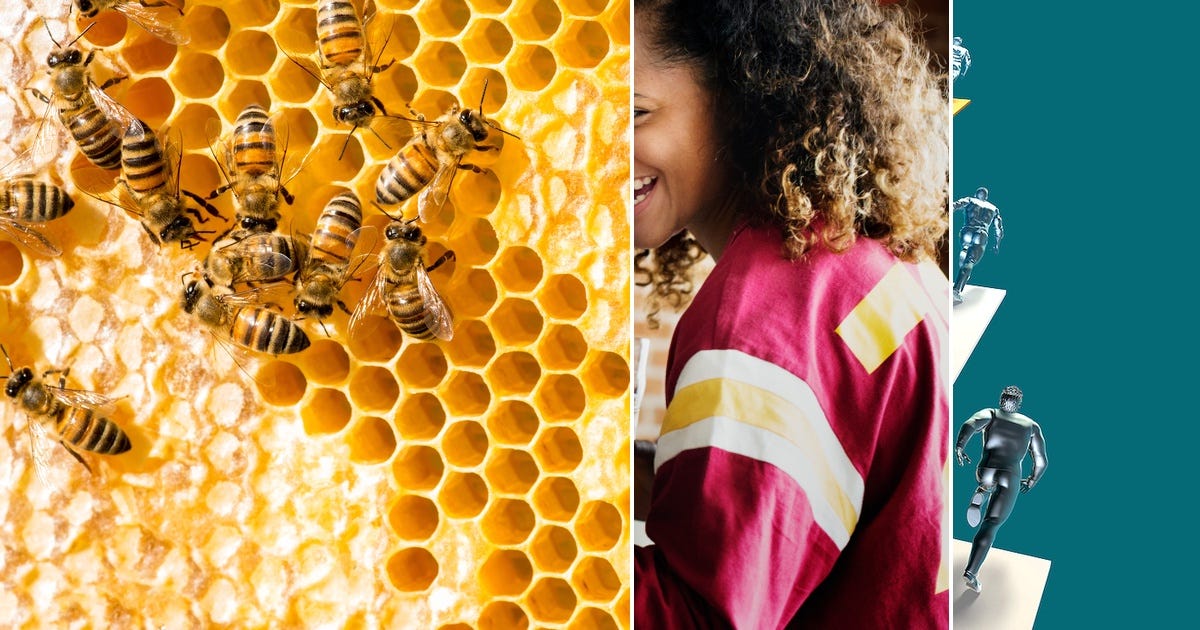 List: Strategy | Curated by Hamdur Rahman | Medium