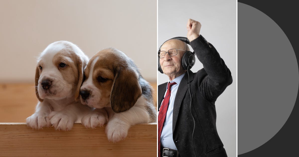 List: SQL | Curated by James Tansiri | Medium