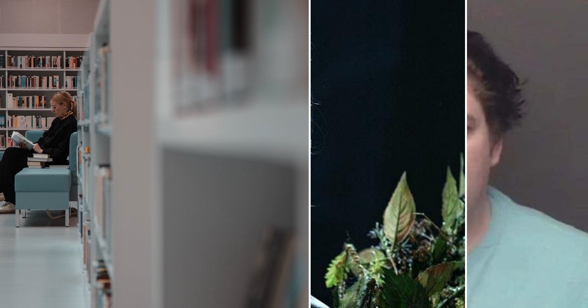 List: Ali | Curated by Valued A | Medium