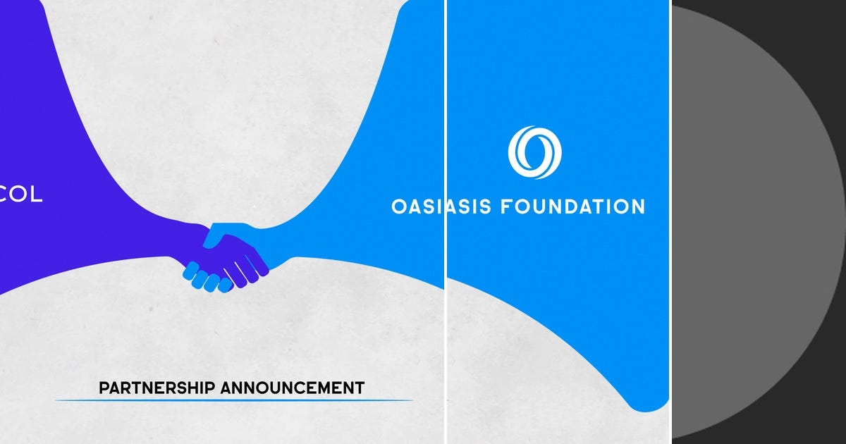 List: Oasis - Rose | Curated by yacov elmedioni | Medium