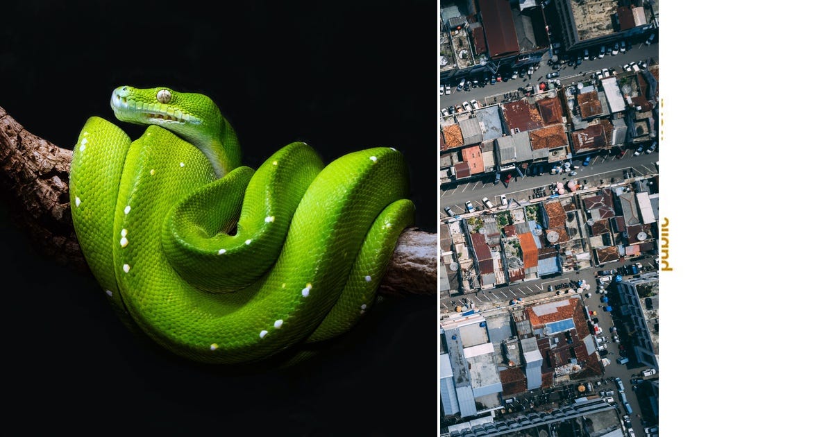 List: nlp | Curated by yang liu | Medium