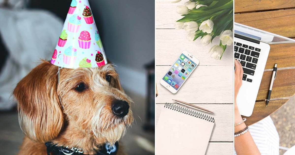 List: Refer back to … | Curated by Tracy Whitmore | Medium