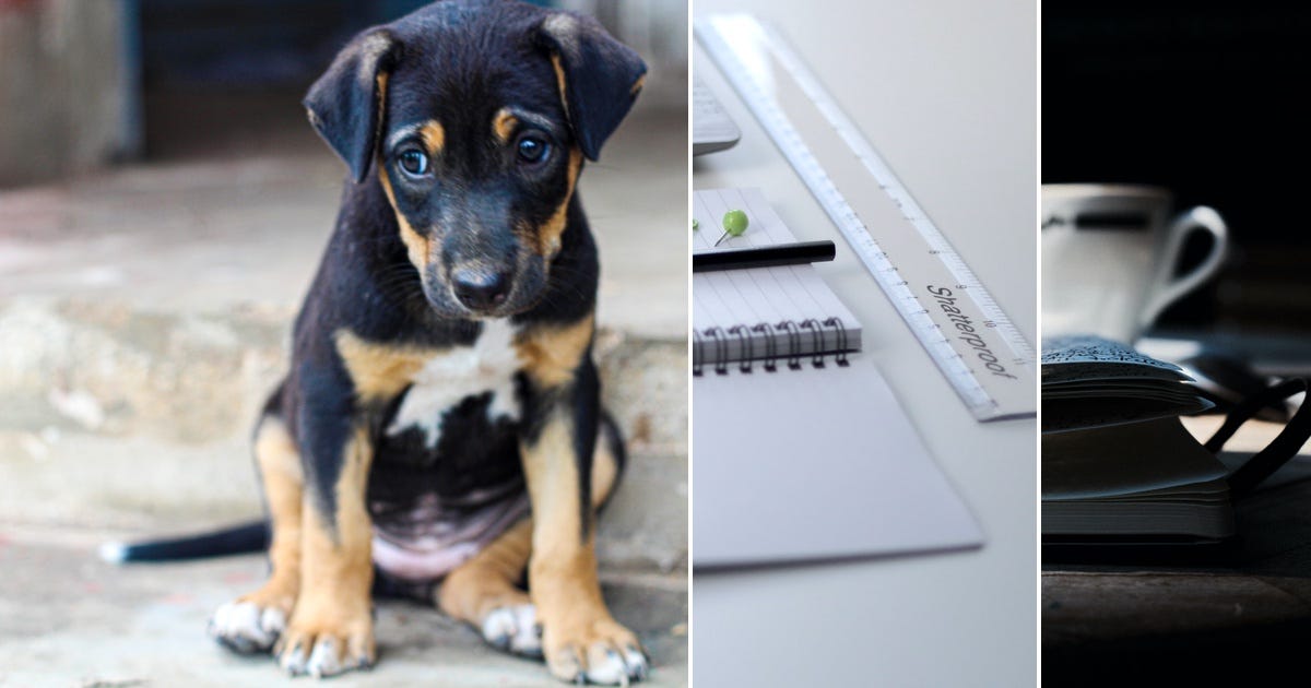 List: Why I Write, and Writing on My Writing | Curated by Bella Reyna ...