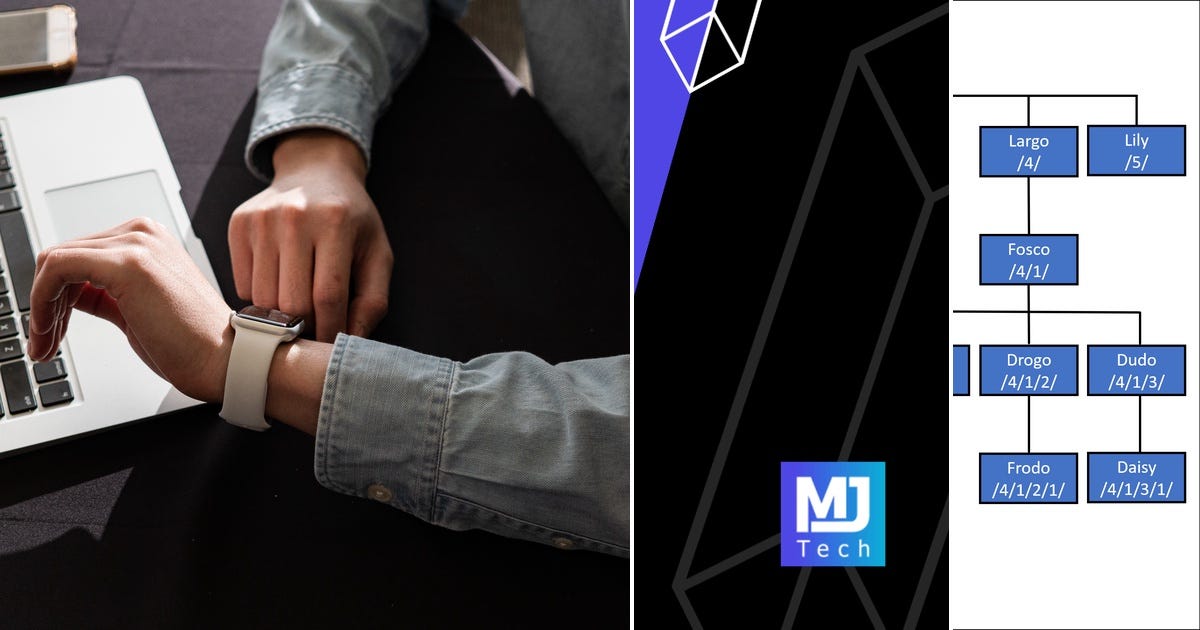 List: Entity | Curated by Tomislav Valent | Medium