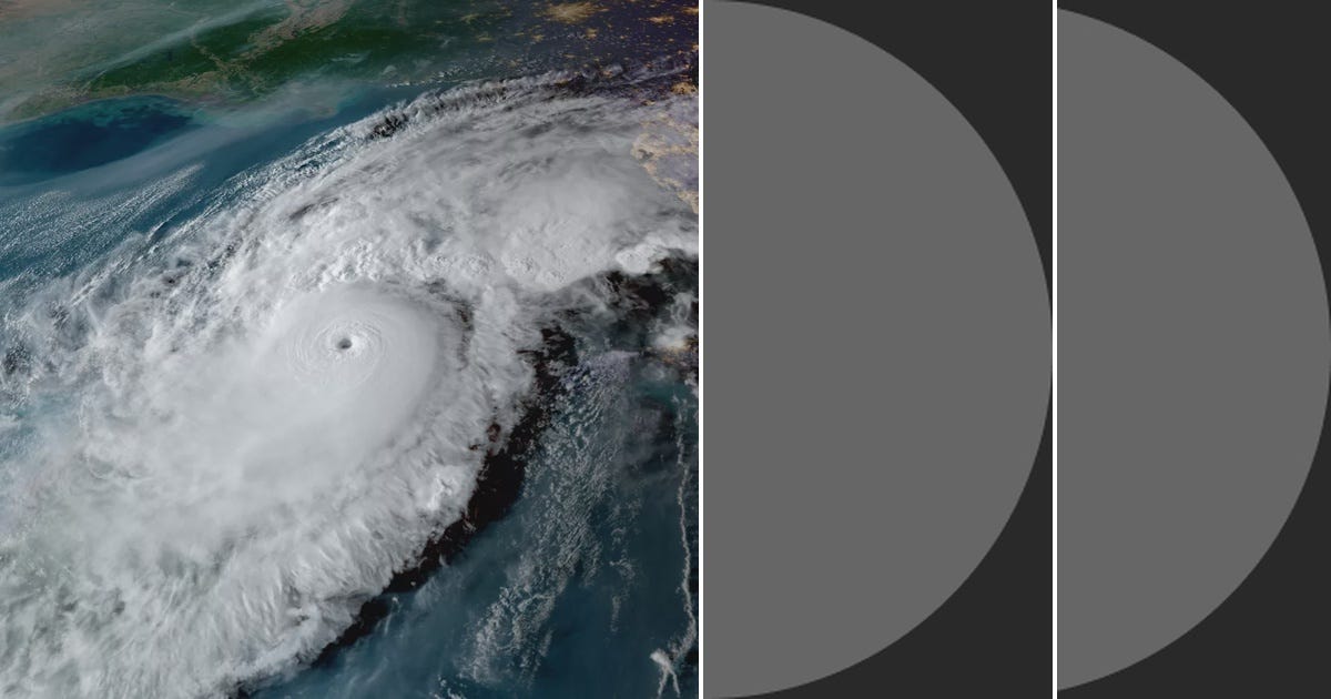 List: Environment | Curated by Manfred Soeffky | Medium