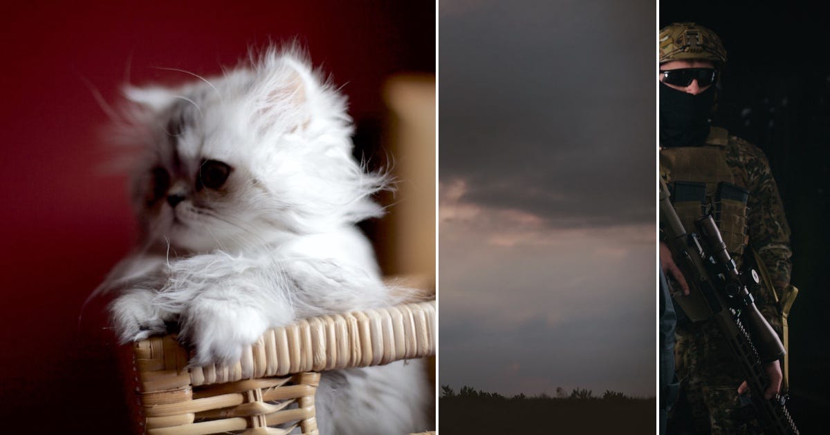 List: What I’m reading... | Curated by Eva MacInnes | Medium