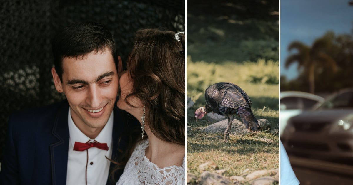 List: Humor | Curated by Debra Davis | Medium