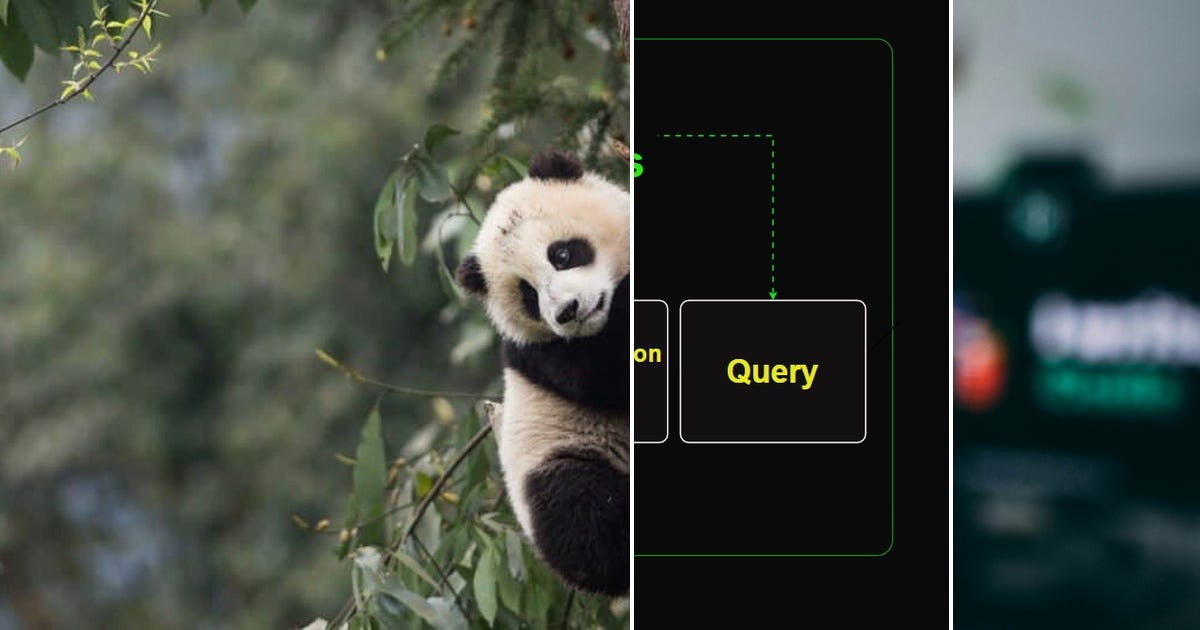 List: Pandas | Curated by Kcmickley | Medium