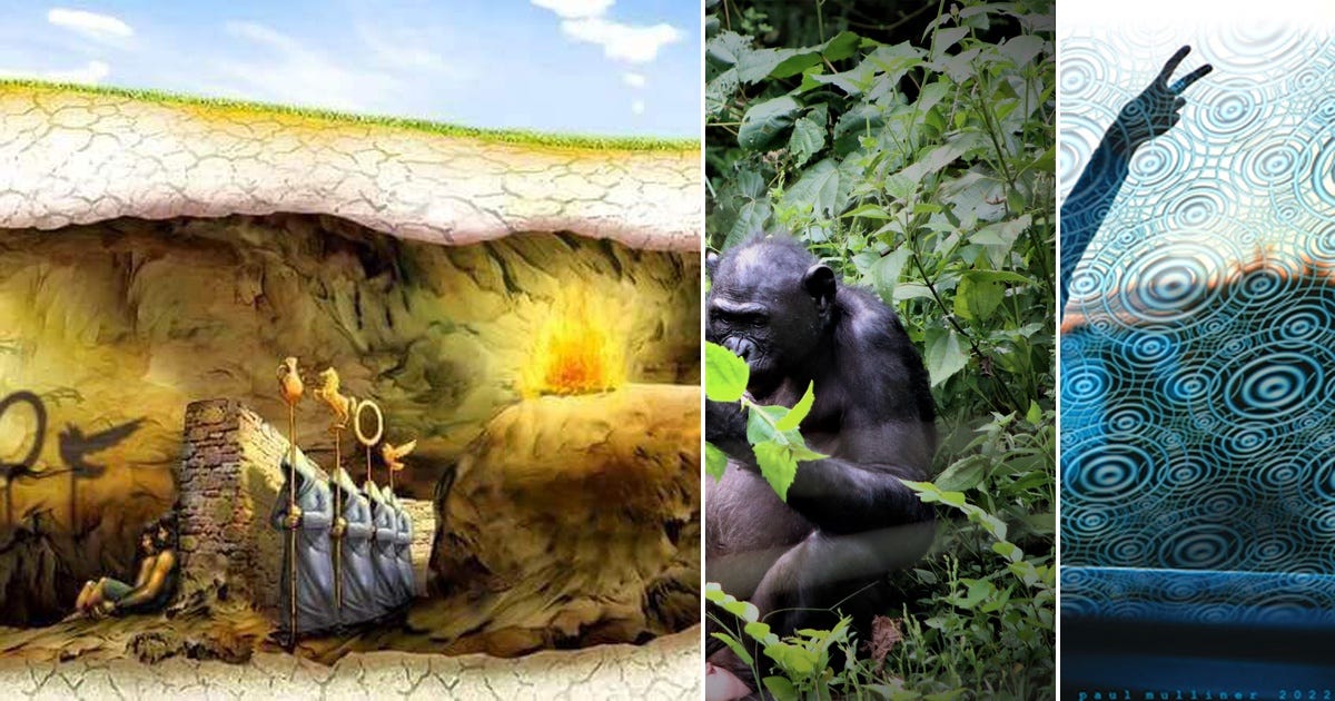 List: Consciousness | Curated by Ken Knudsen | Medium