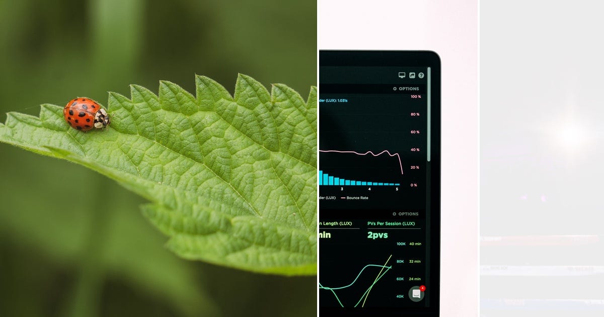 List: Node | Curated by Dudu Neto | Medium