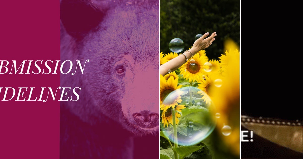 List: Publications | Curated by Lisa Yates | Medium