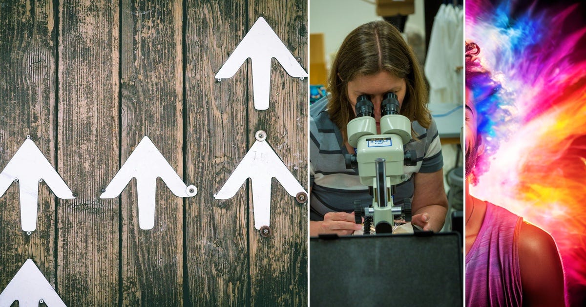 List: Neuroscience | Curated by Julius U. | Medium