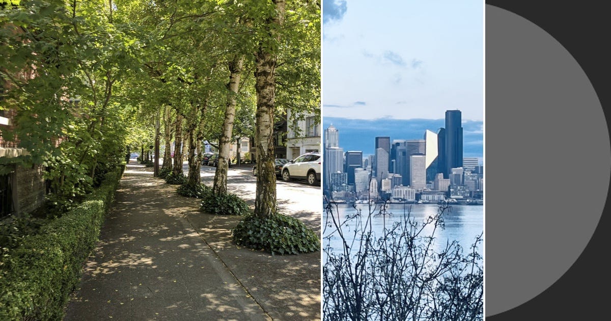 List: Seattle's Urban Tree Canopy | Curated by Chronicles of the Urban ...