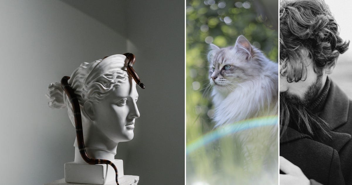 List: Collection Of My Poetry | Curated by Rachel Irene Wilke | Medium