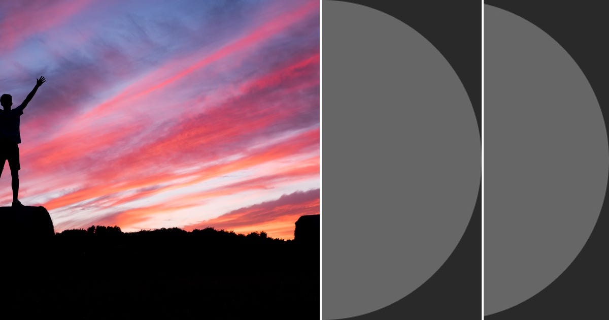 List: Mastering the Art of Profitability | Curated by Tom Niklas | Medium