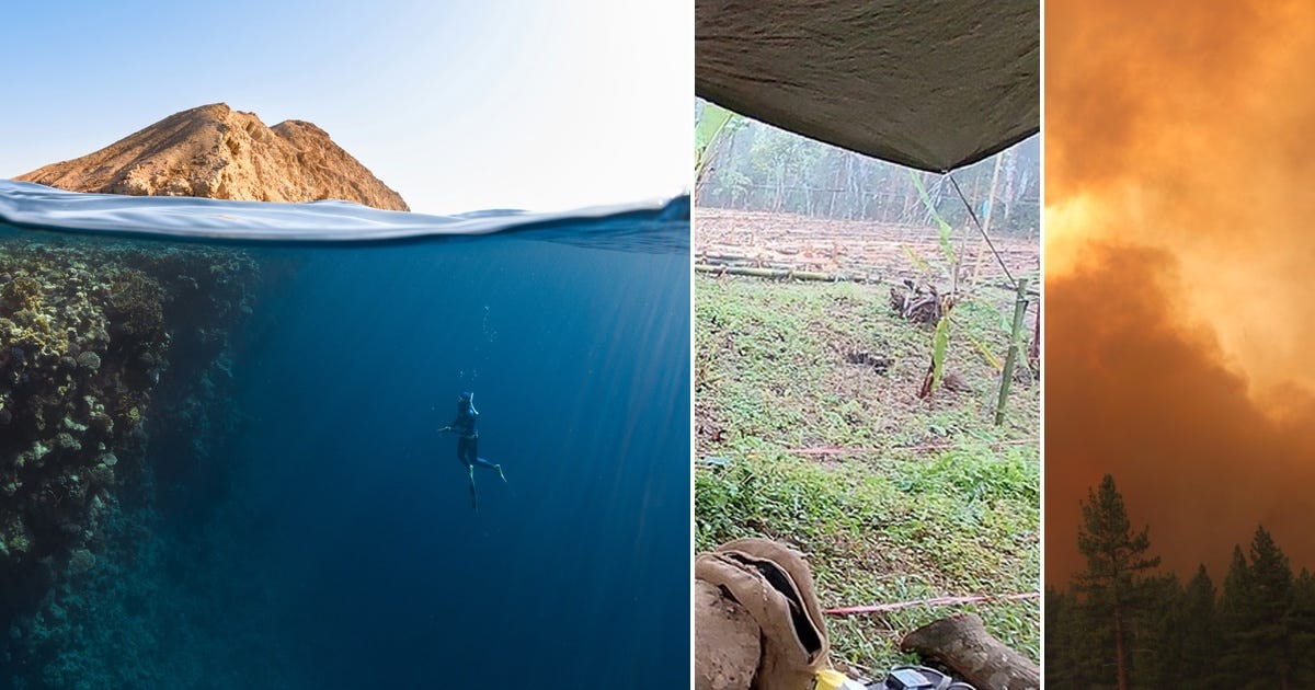 List: Environment | Curated by Cody Coggins | Medium