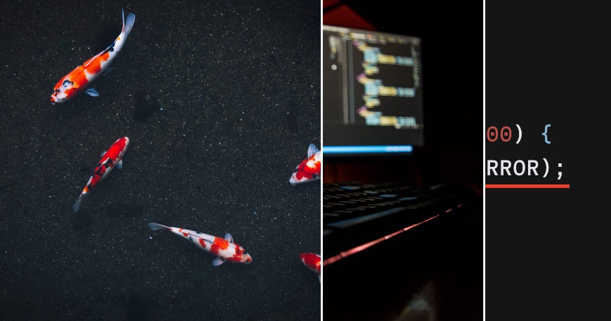 List: interview | Curated by Nelson | Medium