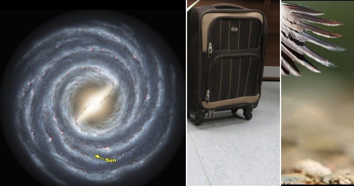 List: Hamzafd | Curated by Muhammad.Hamza | Medium