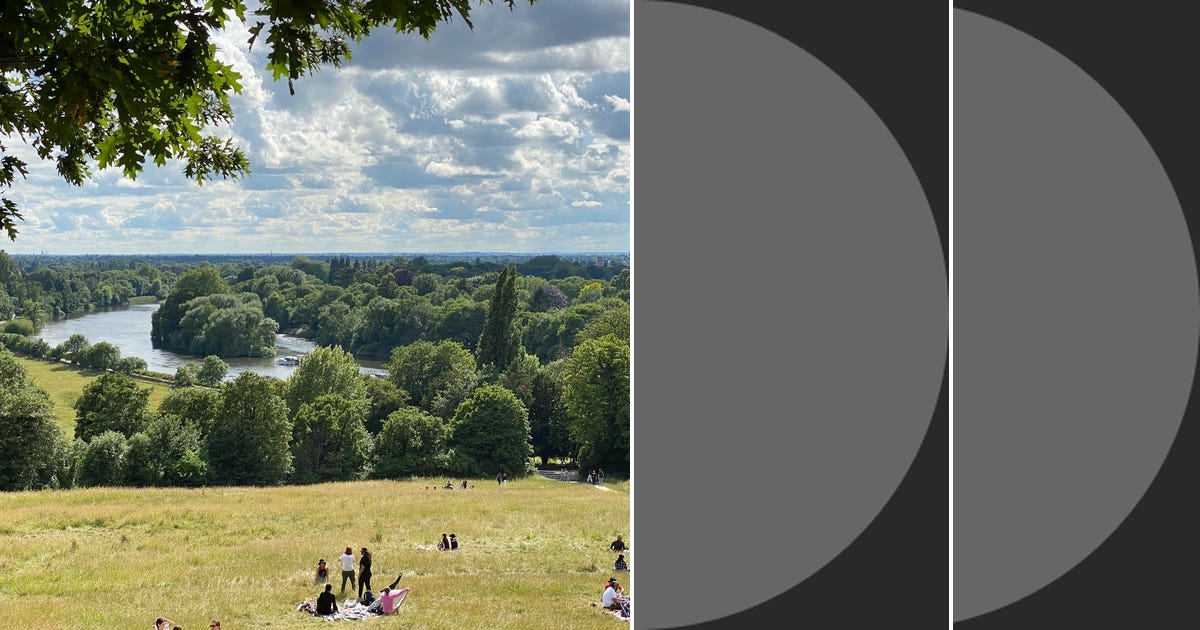 List: Nature | Curated by Nat Hunter | Medium