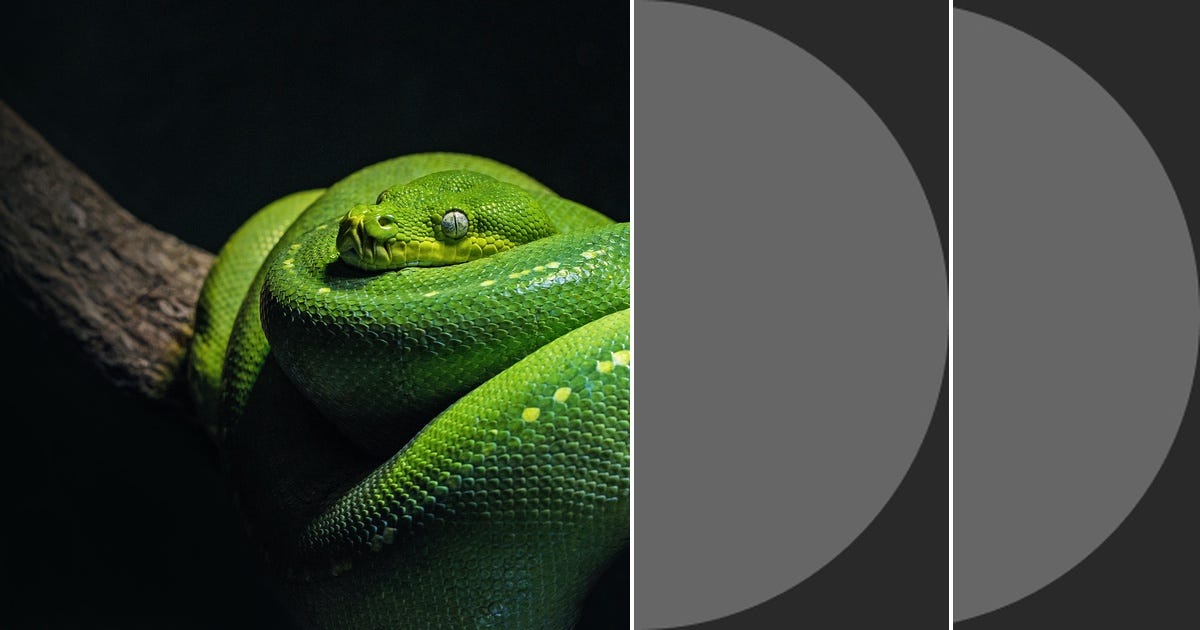 List: Sql | Curated by Samarth Singh | Medium