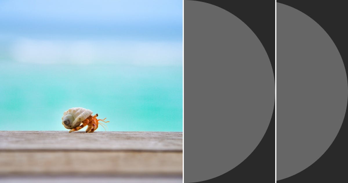 List: Defensive Programming | Curated by Highp | Medium