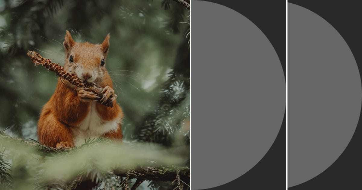 List: Flink code and examples | Curated by Ashmpatel | Medium