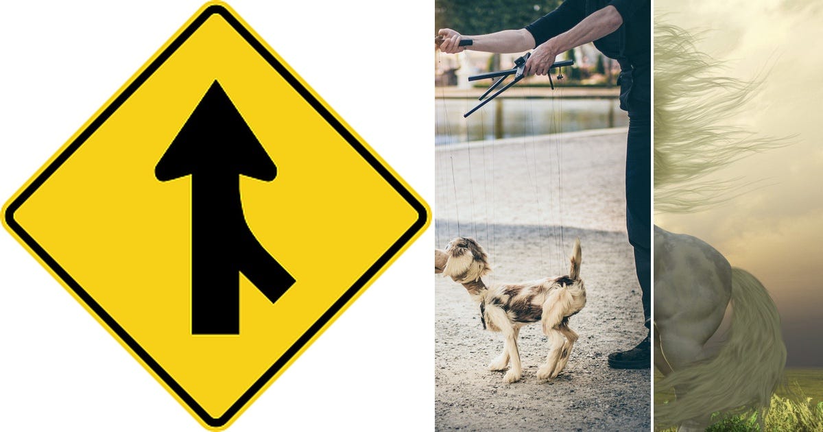 List: Data Science | Curated by Elijah Salami | Medium