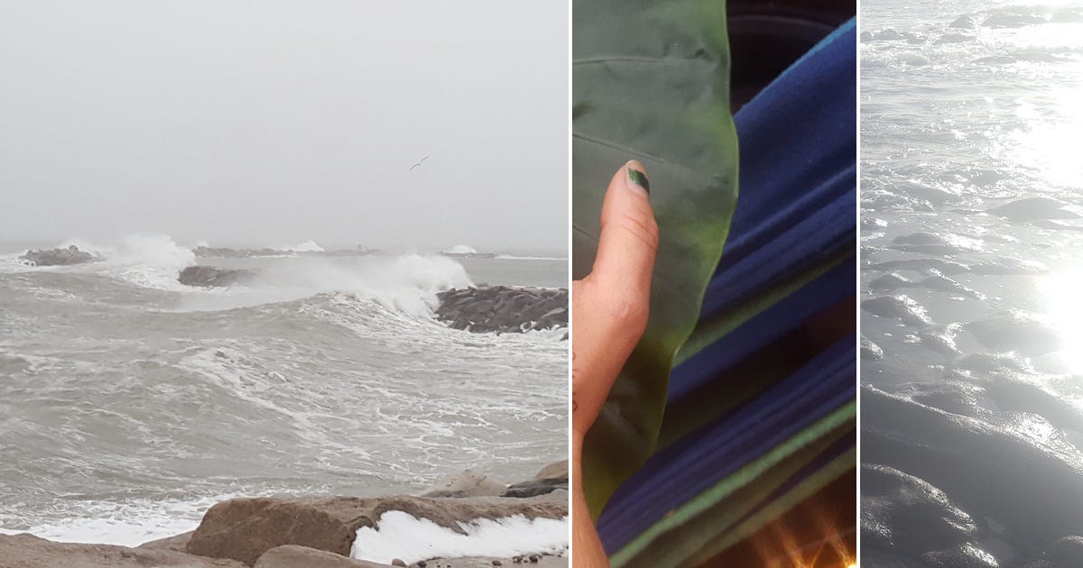 List: Poems | Curated by Emily Shell Gamage | Medium