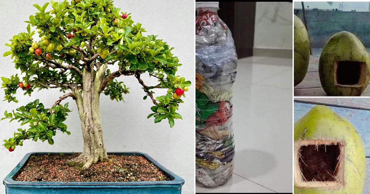 List: Environment | Curated by Vishnu Kumawat | Medium