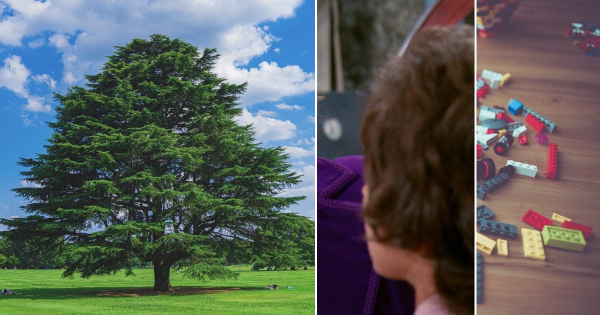 List: Python | Curated by Vijay Jagarlamudi | Medium