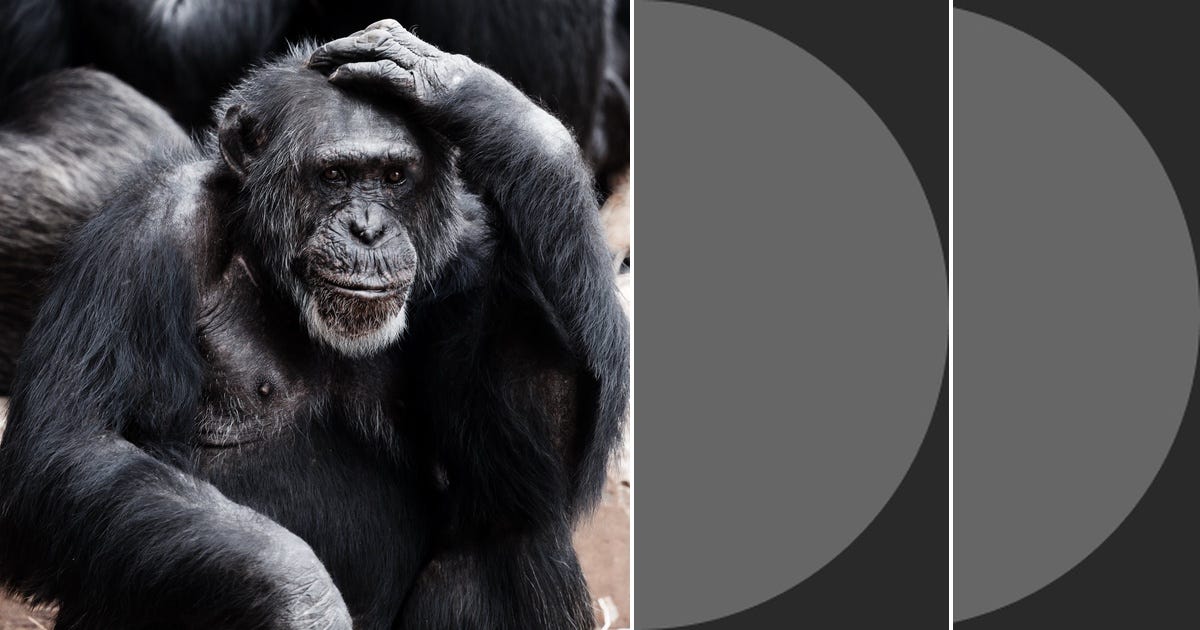 List: Medium Related | Curated by Eiki Takeuchi | Medium