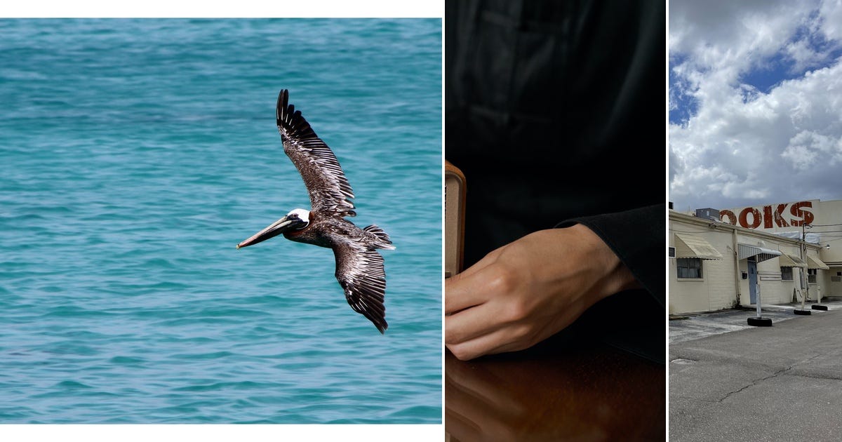 List: St Pete FL | Curated by Sunny Lancaster | Medium