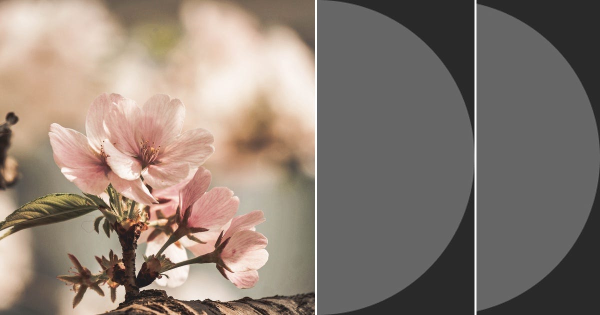 List: React hooks | Curated by Zachary Medellin | Medium