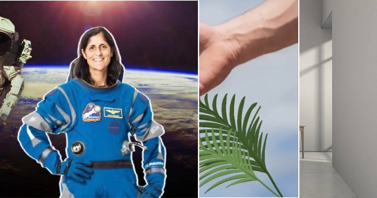 List: Poems/write ups | Curated by Dr. Rincy Blesson | Medium