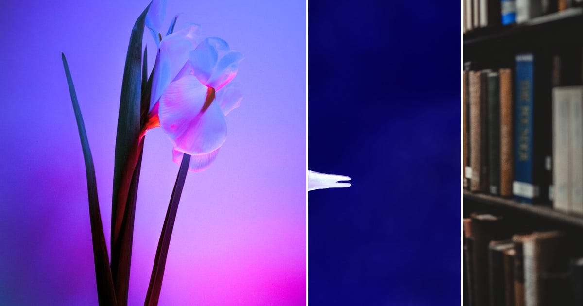 List: Transforming for modelling | Curated by Geetanshu Gupta | Medium