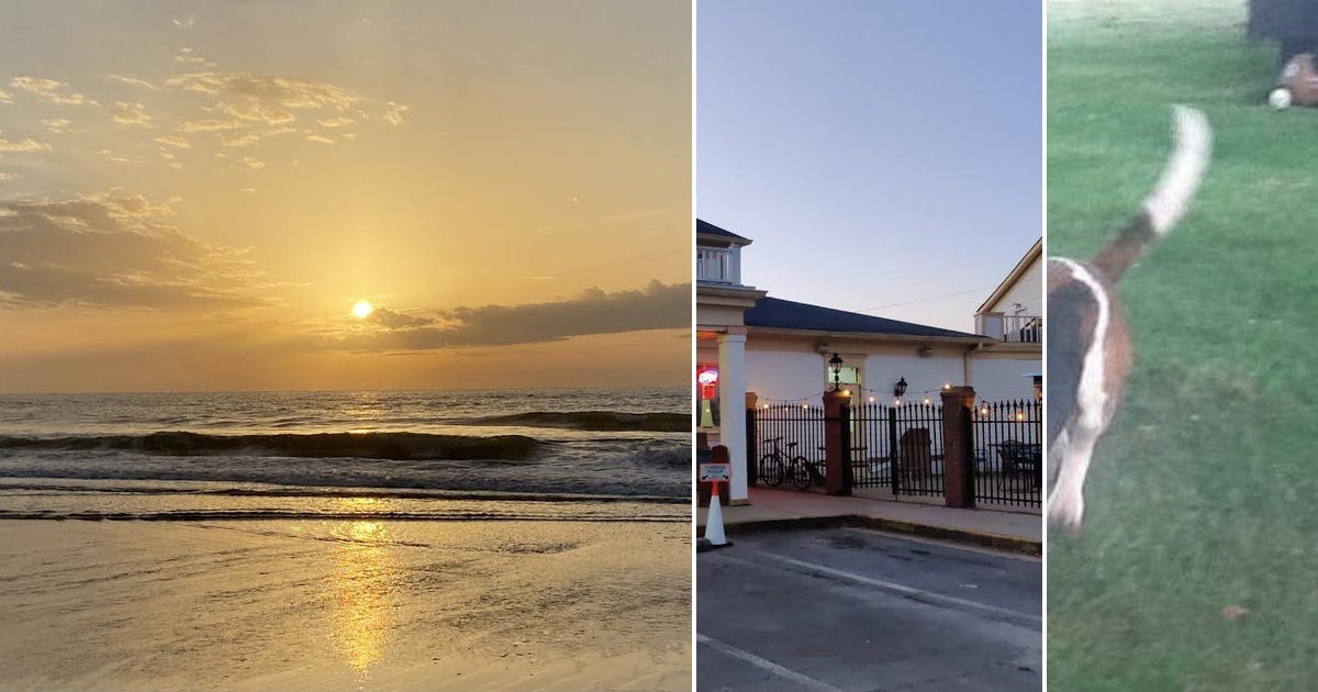 List: Well, I S’wanee | Curated by Jameson Biddle | Medium