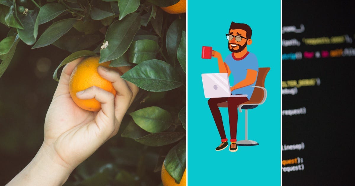 List: Programming | Curated by Chaitanya Pattapagala | Medium