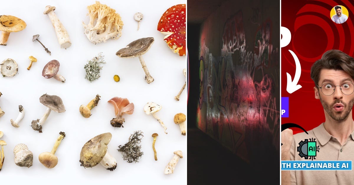 List: SHAP | Curated by Tomer Ygael | Medium