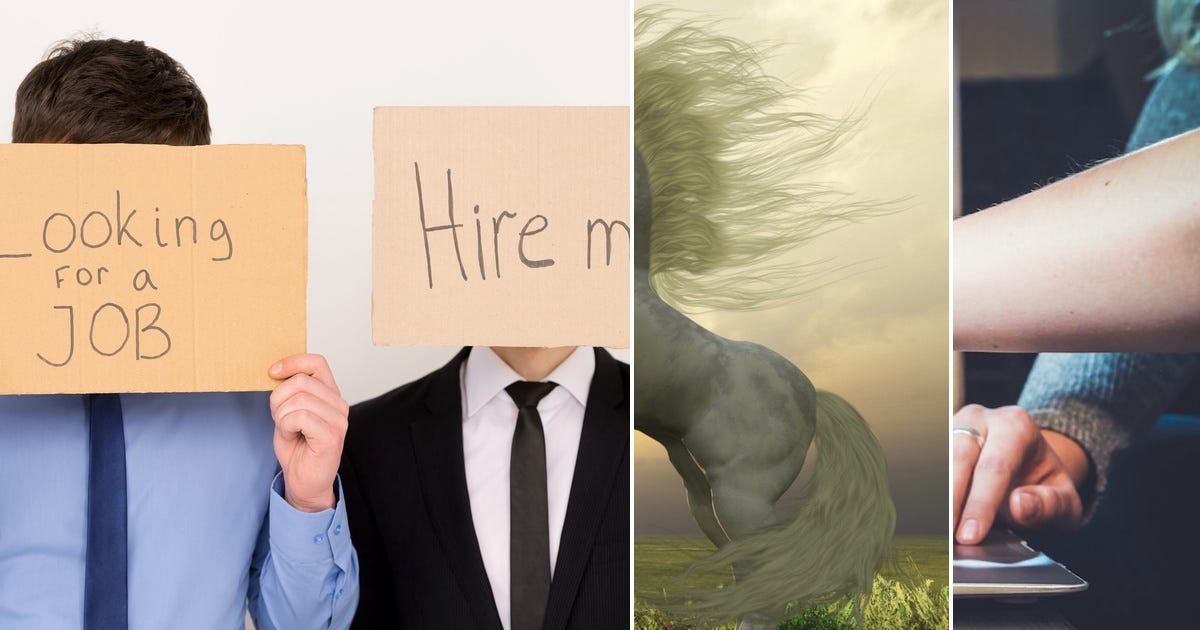 List: Machine Learning Portfolio | Curated by Fateme Ghadami | Medium