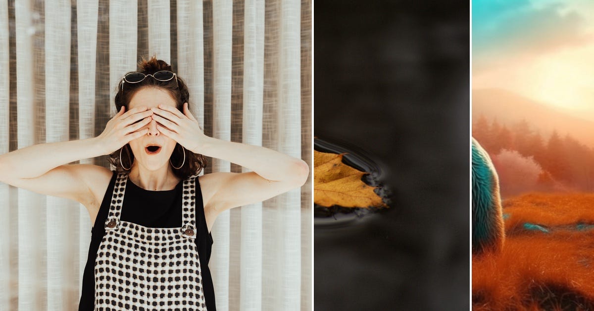 List: AI Tools | Curated by Roy Prins | Medium