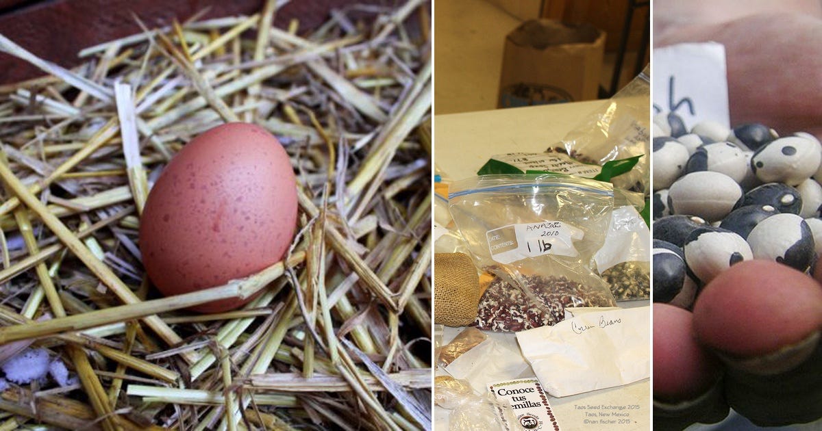 List: Farmsteading | Curated by Wild Blackberry Apothecary | Medium