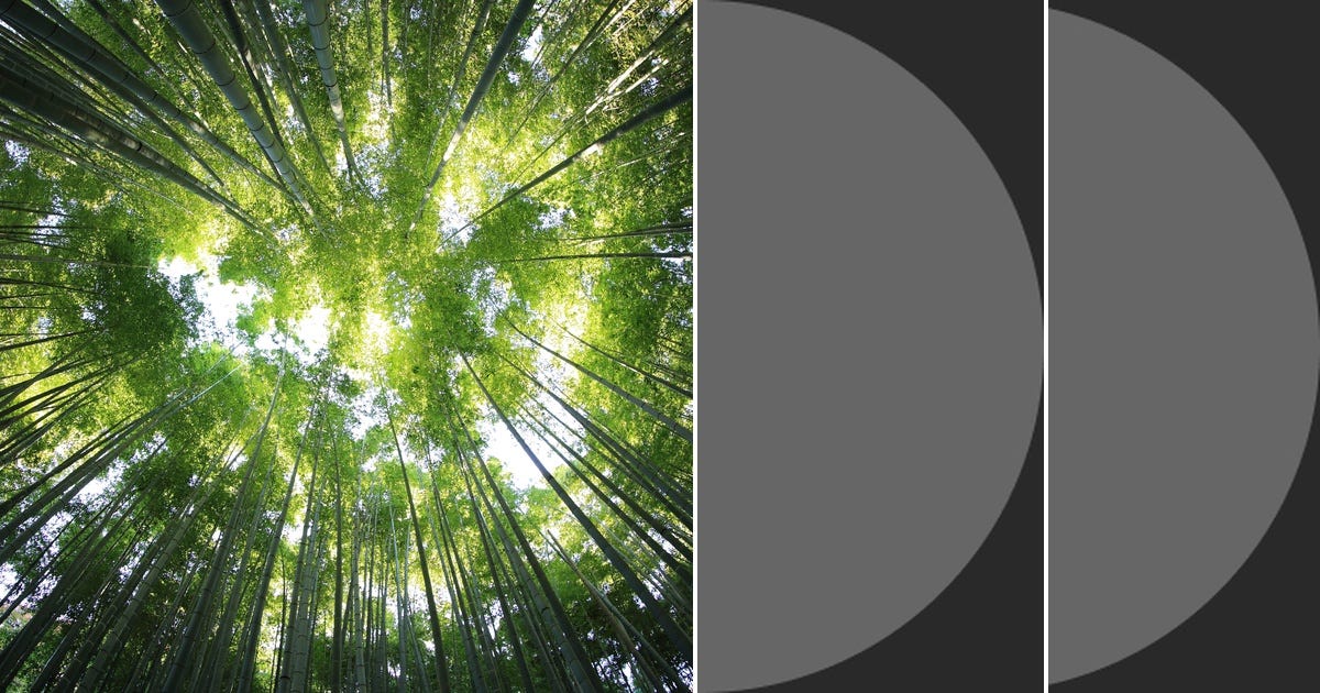 List: Optimization | Curated by Rajiv Dey | Medium