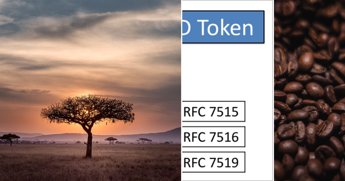 List: interviews spring | Curated by Chenga Reddy | Medium