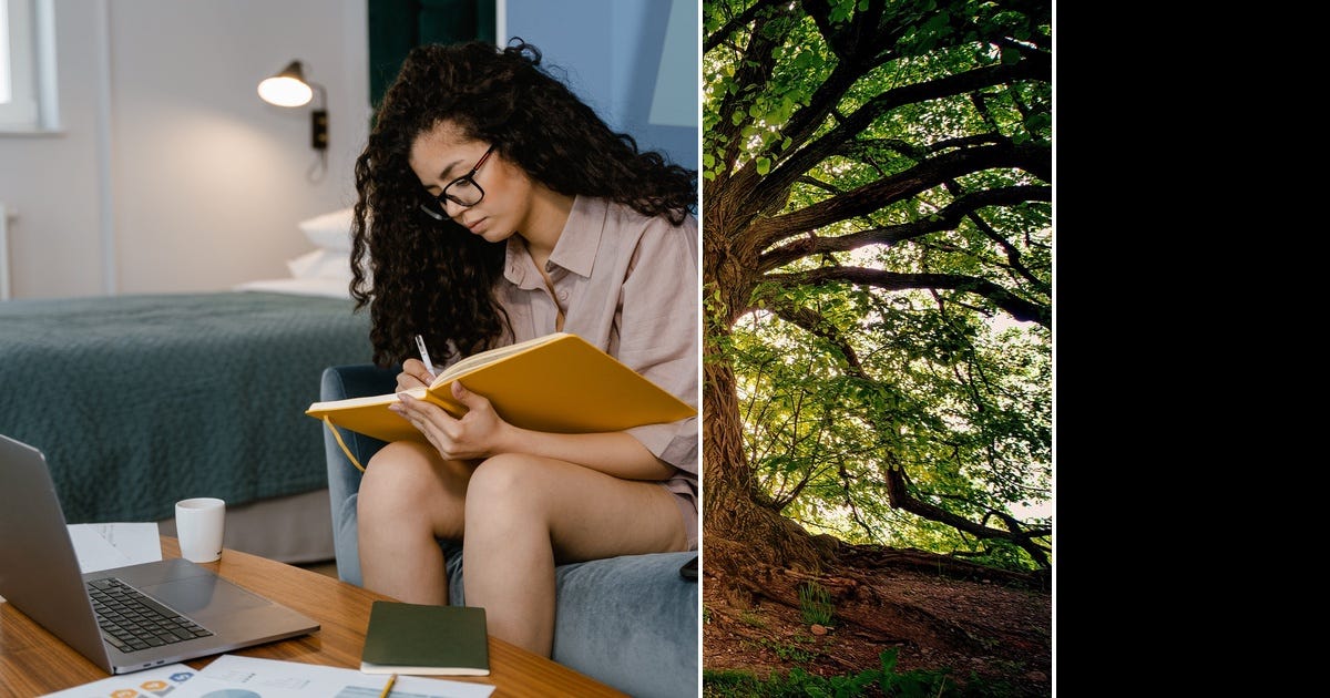 List: Python | Curated by Techservicespc | Medium