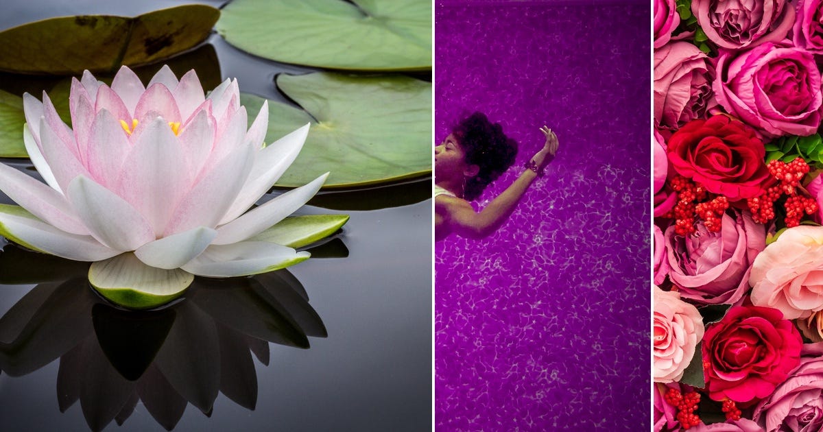 List: Midform | Curated by Linda Locke | Medium