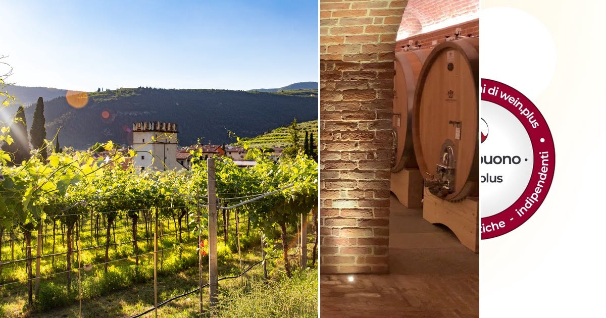 List: RadioWine: short interviews with wine and food stars. | Curated ...