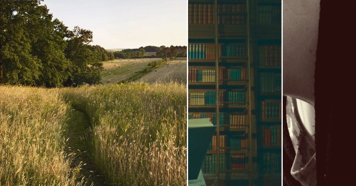 List Insightful Articles Curated By Genesis Argueta Medium